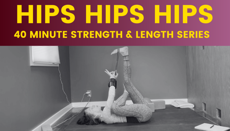 HIP HIPS HIPS | The Elevate Practice