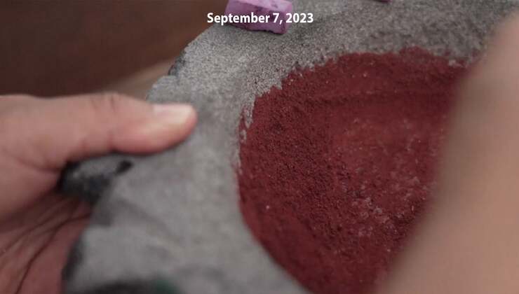 Red Dye Made from Crushed Bugs | WORLD Watch