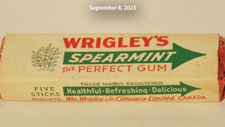 Chewing Gum's History | WORLD Watch Schools