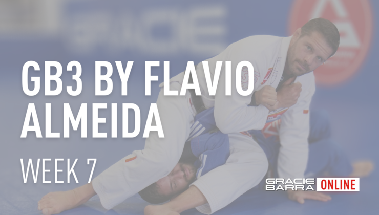 GB3 by Flavio Almeida - Week 7