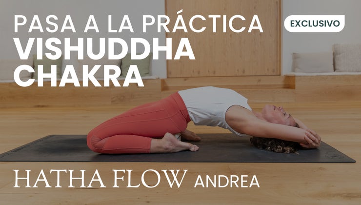 Vishuddha chakra. Hatha flow con Andrea (54 min)