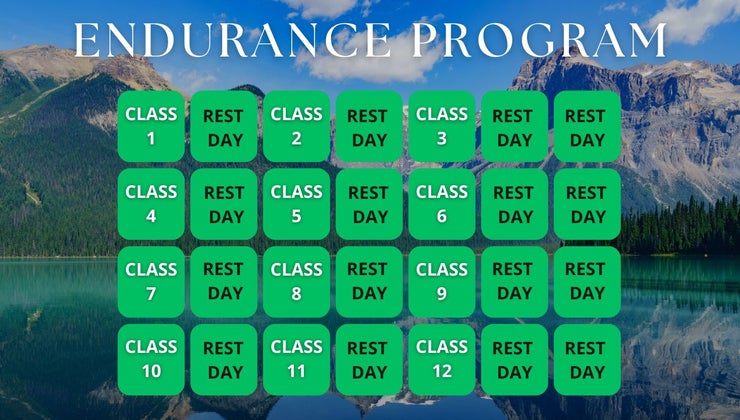 Endurance, 4 Week Program (Video Collection)