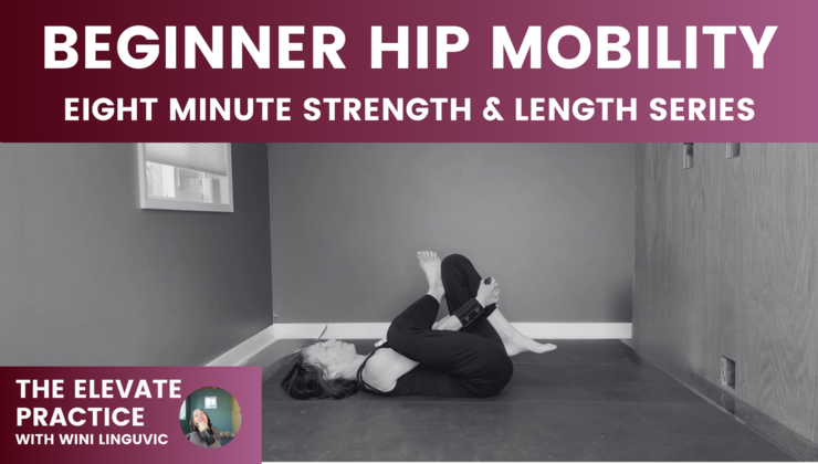 Beginner Hip Mobility