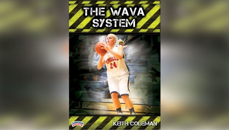 The WAVA System
