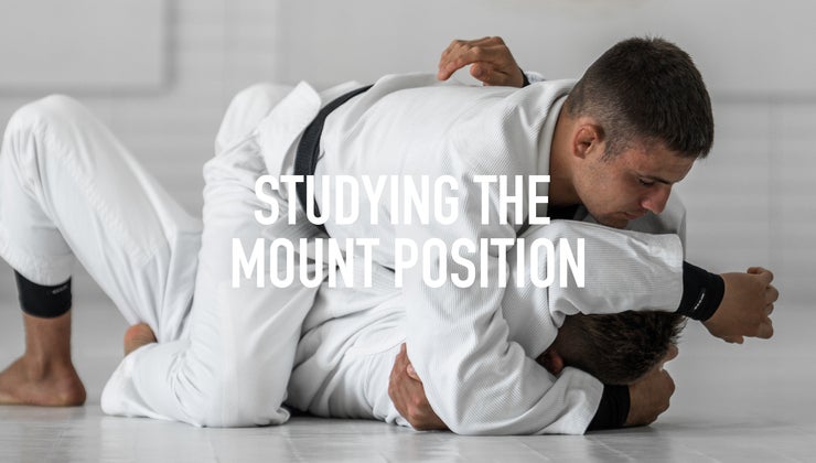 Curriculum: Studying The Mount Position