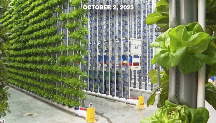 Vertical Farming | WORLD Watch
