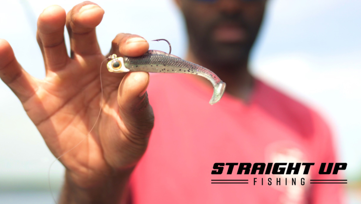 How To Fish Finesse Swimbaits Suf School