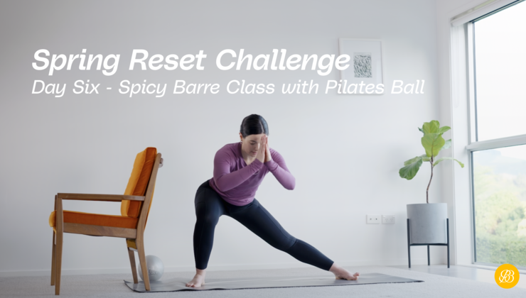 Spring Reset Challenge - Day 6, Spicy Barre Class with Pilates Ball ...