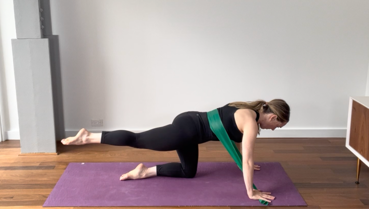 Core Alignment + Stabilization