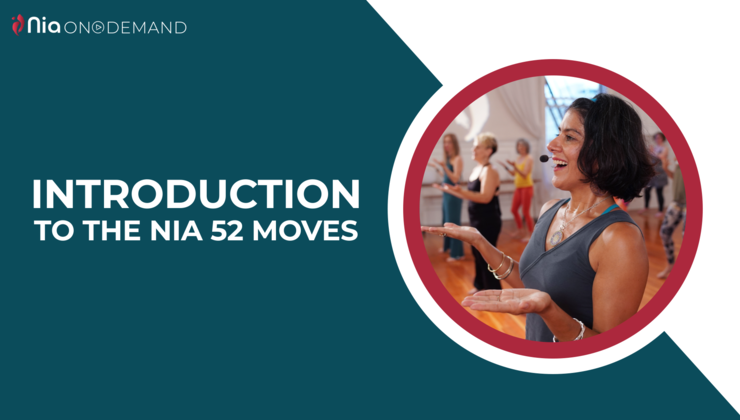 04 Welcome to Nia - Introduction to the Nia 52 Moves