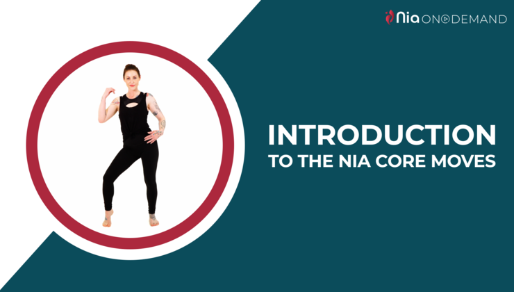 06 Welcome to Nia - Introduction to the Nia Core Moves