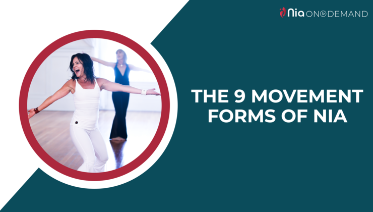 08 Welcome to Nia - Introduction To The 9 Movement Forms of Nia