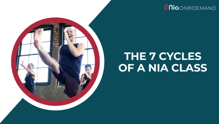 09 Welcome to Nia - The 7 Cycles of a Nia Class