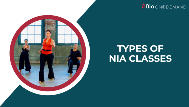 11 Welcome to Nia - Types Of Nia Classes