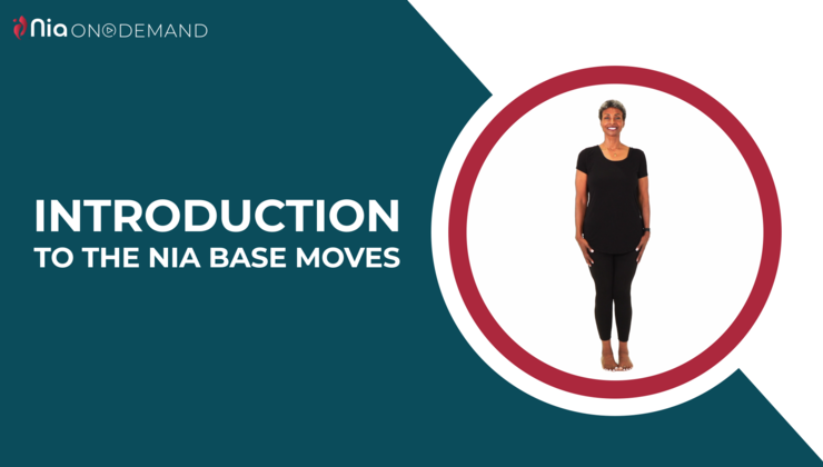 05 Welcome to Nia - Introduction to the Nia Base Moves
