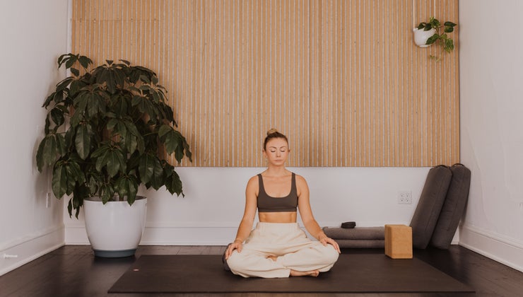 November 08 | Meditation + Breath comboo | The Collective Kula