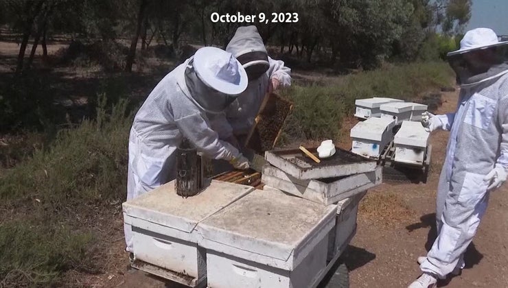 High-Tech Beekeeping | WORLD Watch