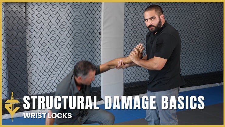 202 Lesson 2 Common Wrist Locks (720p)