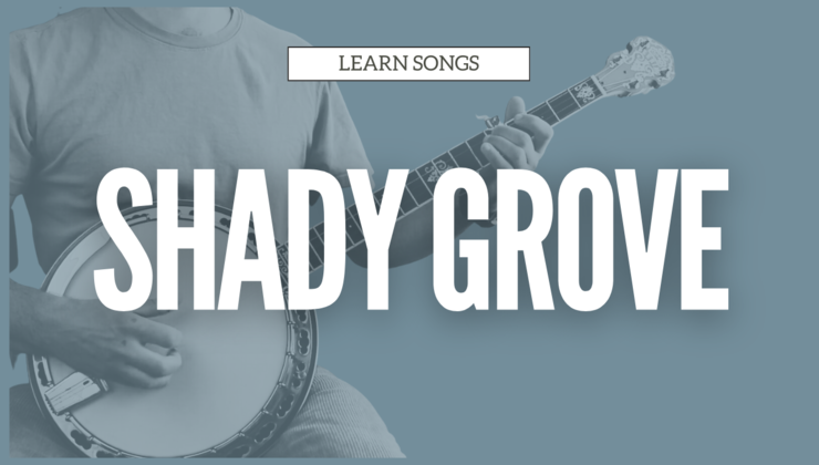 3 Levels of Shady Grove in D minor