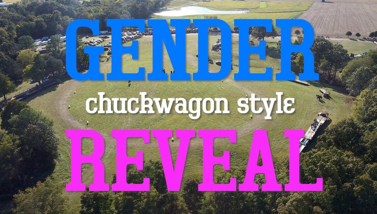 Gender Reveal for Seth and Kaylee Ellis