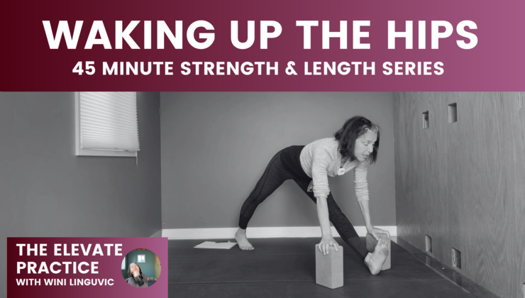 Waking Up The Hips | The Elevate Practice