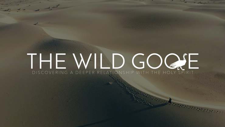 The Wild Goose // TRAILER