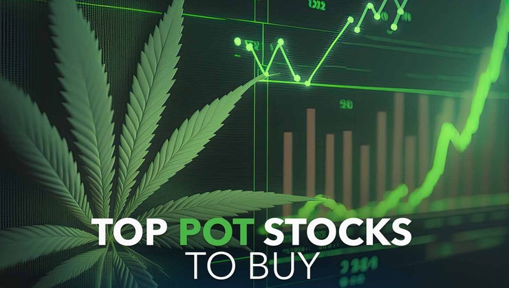 Top Pot Stocks to Buy: 3 Medicinal Marijuana Stocks to Rise