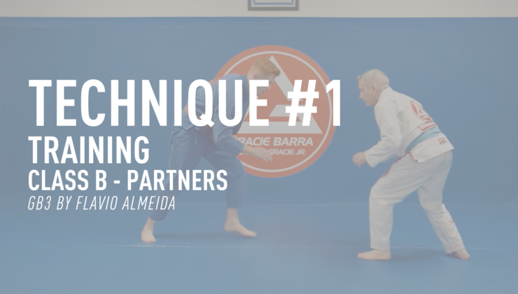 Gb3 Week 13 Class B Partner Drill #1 Demo