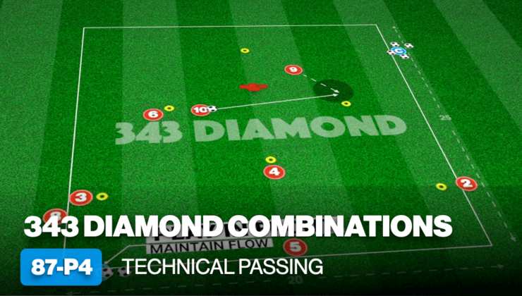 343 Diamond Technical Passing | 87-P4