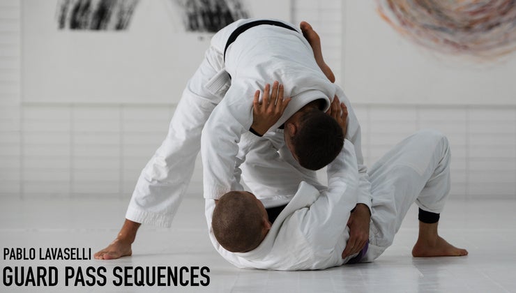 Guard Pass Sequences