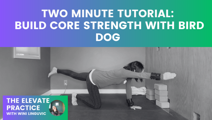 Core Strength- Bird Dog Tutorial | The Elevate Practice