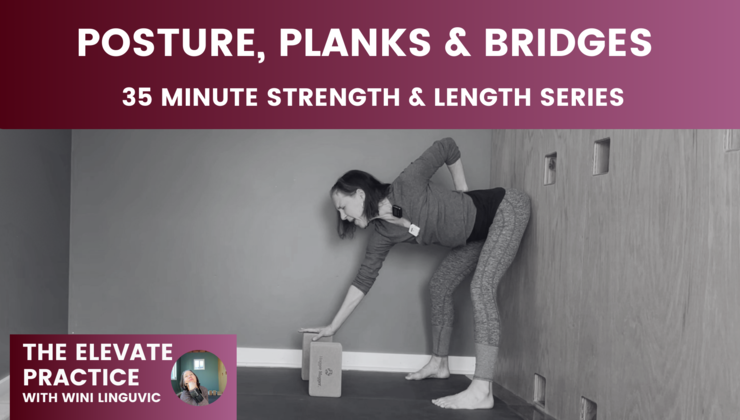 Posture Planks & Bridges | The Elevate Practice
