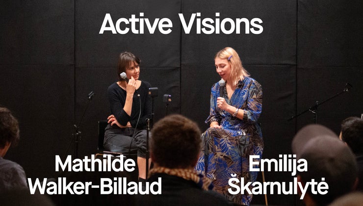 Active Visions Conversation