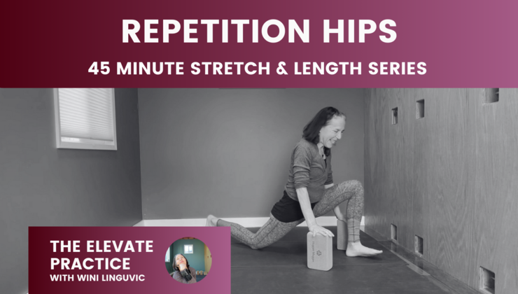 Hip Stretches For All