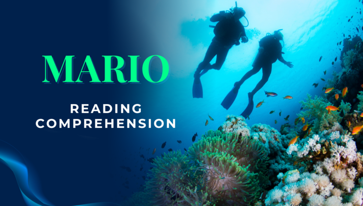 Reading Comprehension Speech Therapy | Intermediate Level | Answer Out ...