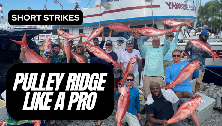 pulley ridge gulf of mexico snapper grouper tuna wahoo fishing bait ...