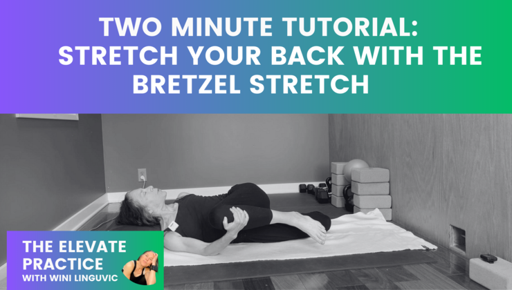 Stretch Your back | The Elevate Practice