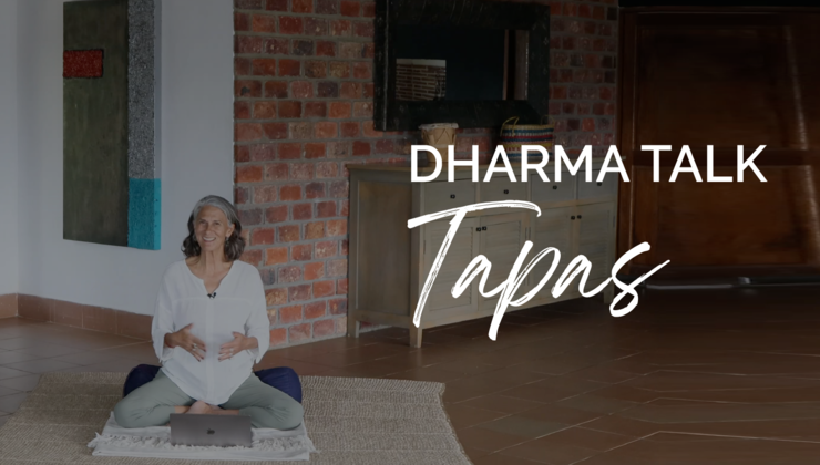 Dharma Talk | Tapas