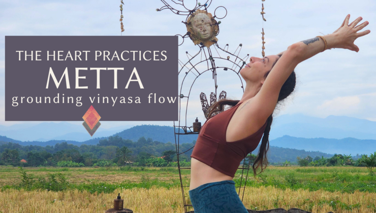 Grounding Metta Vinyasa Yoga | CCY Studio