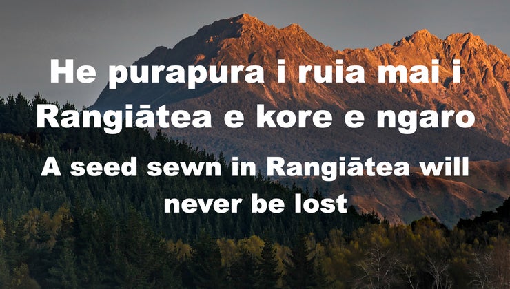 A Seed Sown In Rangiātea Will Never Be Lost | Educational Leadership ...