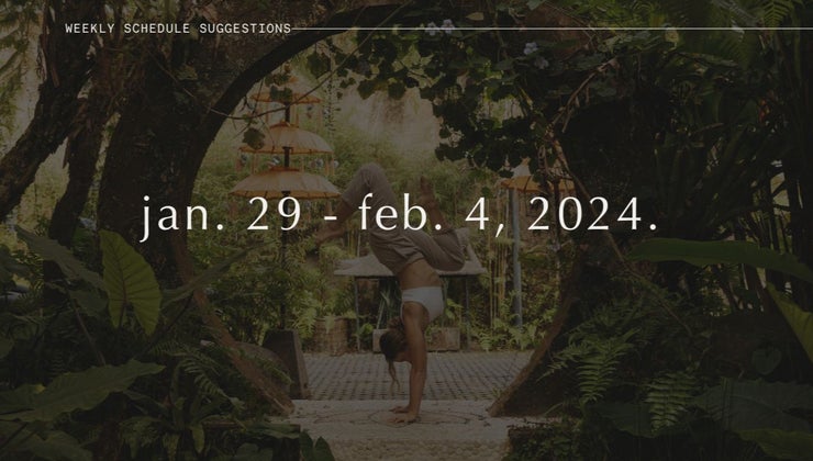 Weekly Schedule: Jan. 29 - Feb. 4, 2024 | The Collective Kula