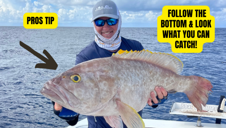 florida fishing tips deep drop grouper snapper florida keys florida fishing tips deep drop grouper snapper florida keys
