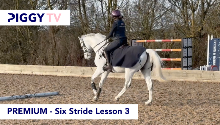 Six Stride Lesson 3 | Piggy TV