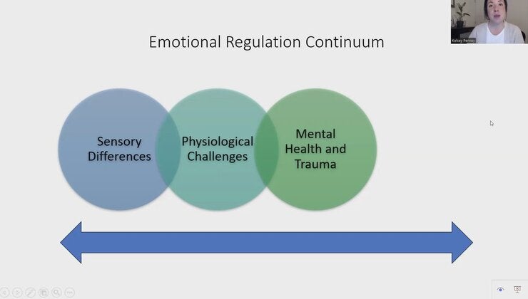 Understanding Emotional Regulation | My Autism Channel
