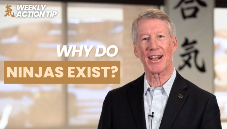 Action Tip - Why Do Ninjas Exist | Ninja You