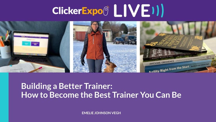 Building a Better Trainer: How to Become the Best Trainer You Can Be - Emelie Johnson Vegh ...