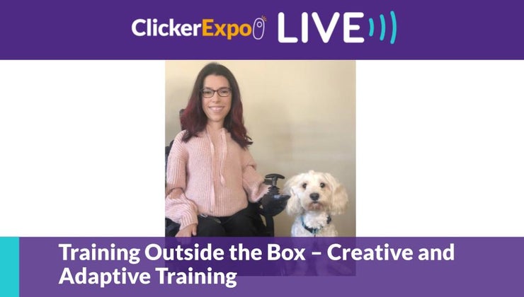 Training Outside the Box - Creative and Adaptive Training - Sarah Rodriguez | Video on Demand by ...