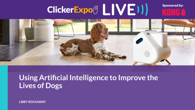 Using Artificial Intelligence to Improve the Lives of Dogs - Libby Rockaway | Video on Demand by ...