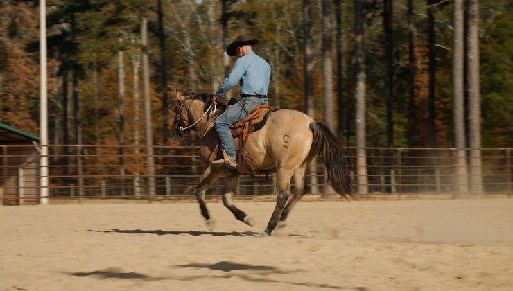 How To Use Straight Lines To Teach A Horse Good Circles