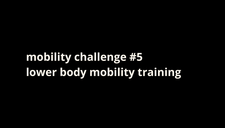 Mobility Challenge 5